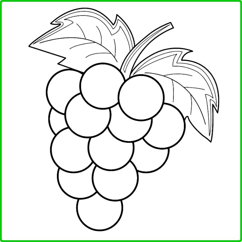 200+ Sketsa Buah-Buahan Baru Paling Indah Mudah Dibuat