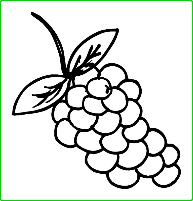 200+ Sketsa Buah-Buahan Baru Paling Indah Mudah Dibuat