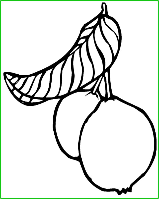 200+ Sketsa Buah-Buahan Baru Paling Indah Mudah Dibuat