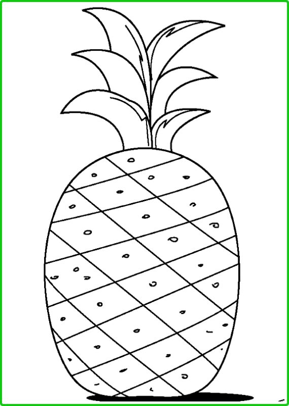 200+ Sketsa Buah-Buahan Baru Paling Indah Mudah Dibuat