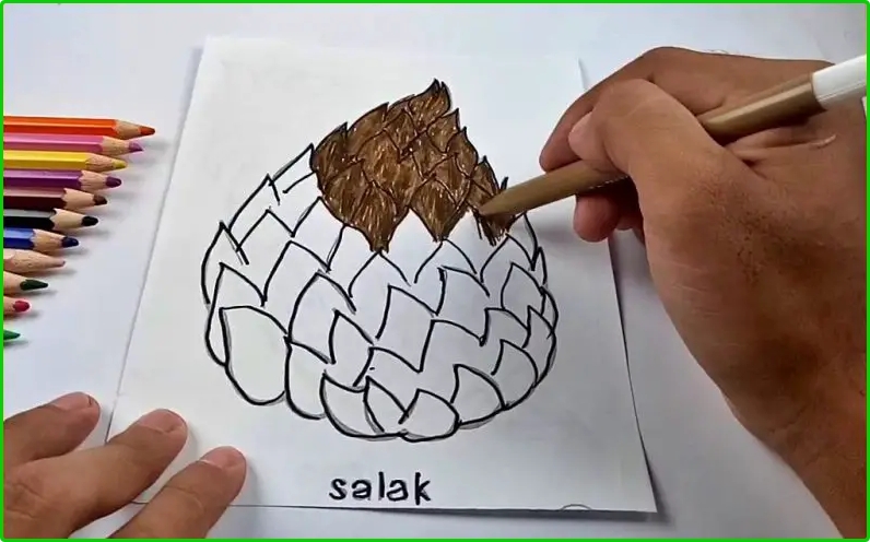 200+ Sketsa Buah-Buahan Baru Paling Indah Mudah Dibuat