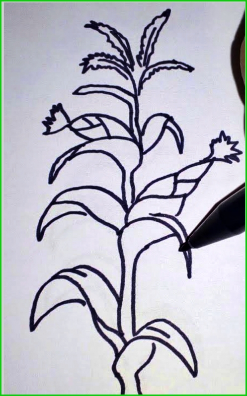 √ Sketsa Daun Terbaik! Paling Mudah Digambar Oleh Siapapun