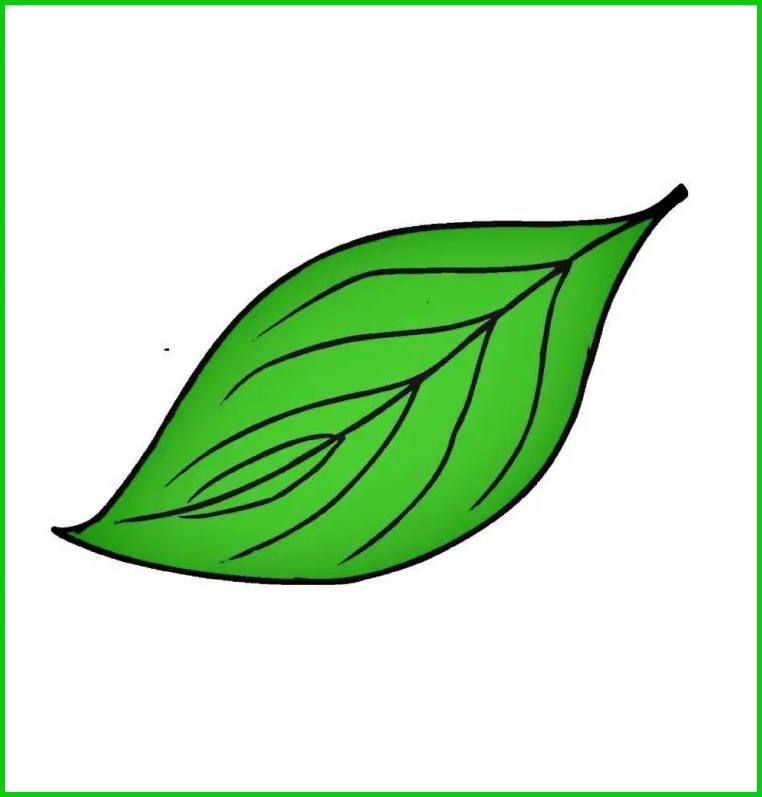 √ Sketsa Daun Terbaik! Paling Mudah Digambar Oleh Siapapun