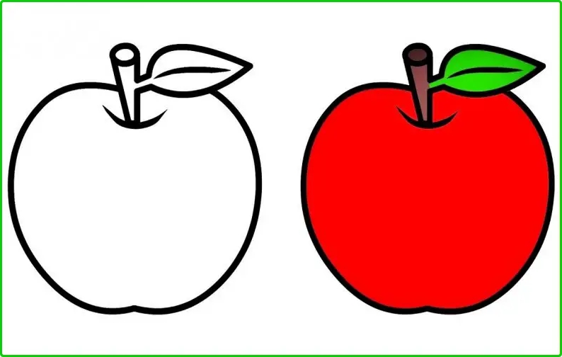 200+ Sketsa Buah-Buahan Baru Paling Indah Mudah Dibuat