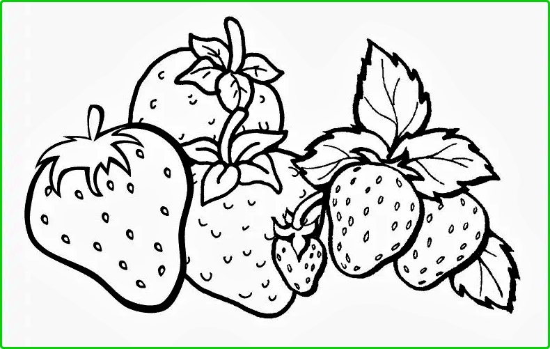 200+ Sketsa Buah-Buahan Baru Paling Indah Mudah Dibuat