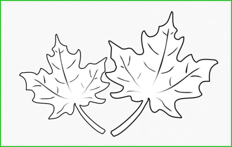 √ Sketsa Daun Terbaik! Paling Mudah Digambar Oleh Siapapun