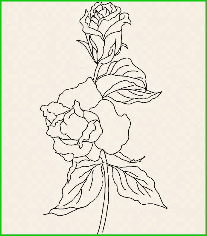 √ Sketsa Daun Terbaik! Paling Mudah Digambar Oleh Siapapun