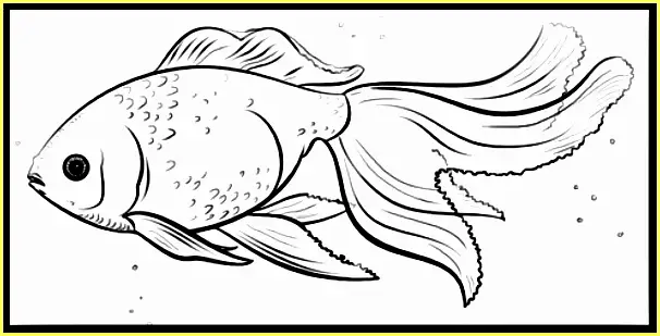 Sketsa Gambar Ikan: Nemo, Channa, Mas, Paus, Hiu, Bandeng, Koi